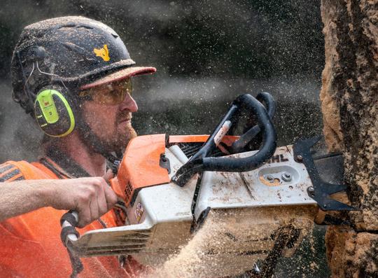 West Coast Saw 3- Point Felling Dogs (for Stihl Saws) – Cowlitz River ...